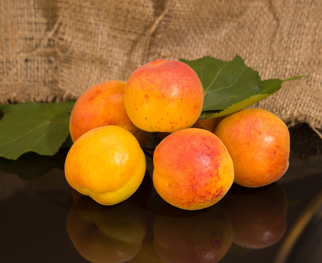 Aussie Apricots - Third Generation Family Run Orchard - Mypolonga ...